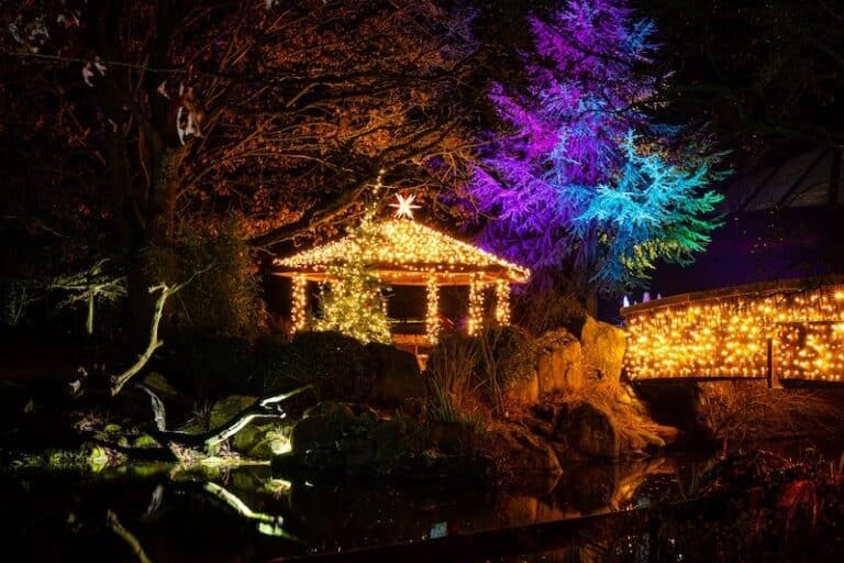 Where to See Christmas Lights in Victoria, BC 2025
