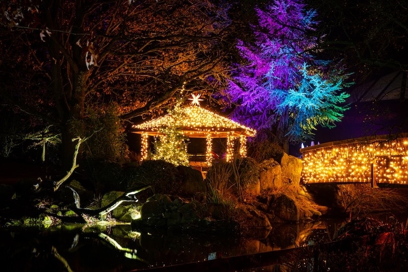Where to See Christmas Lights in Victoria, BC 2025