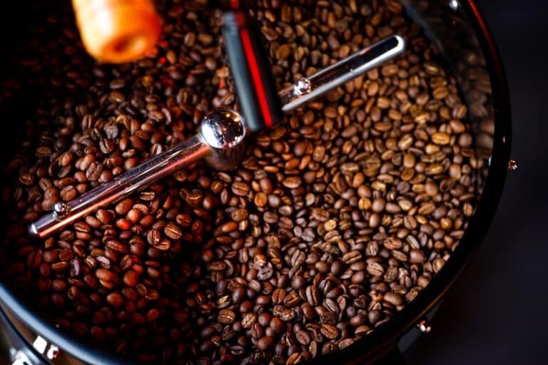 The Best Coffee Shops in Victoria, BC: A Local’s Guide